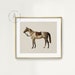 Vintage Horse Gallery Wall Set of 9, Horse Prints, Horse Painting ...