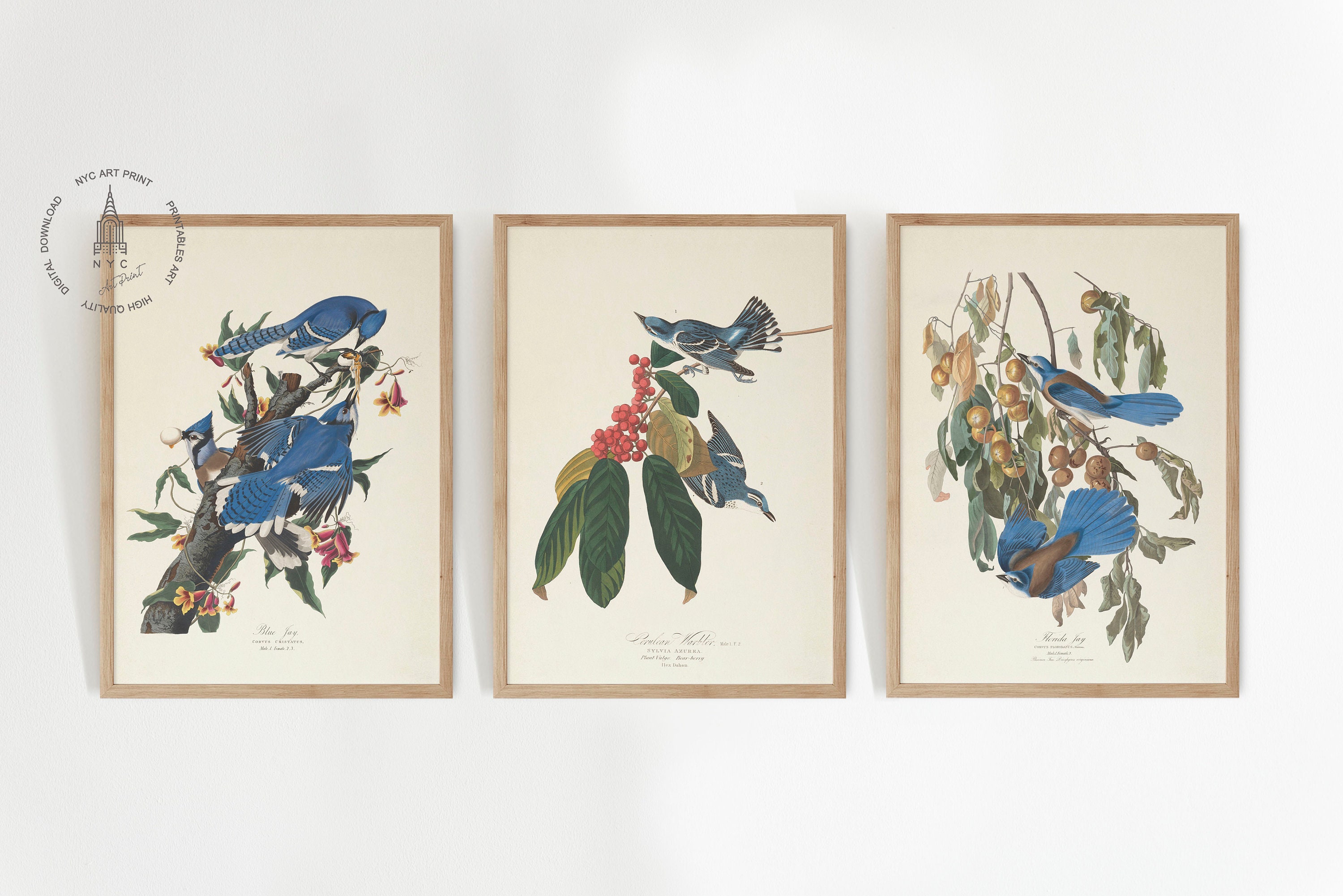 Set of 6 Vintage Birds Prints, Blue Birds Print, Vintage Birds Painting ...