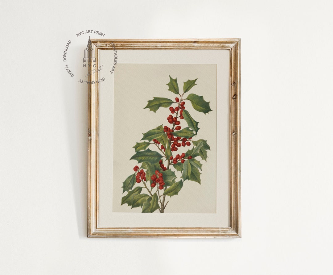 American Holly Print, Christmas Holly Wall Decor, Vintage Botanical ...