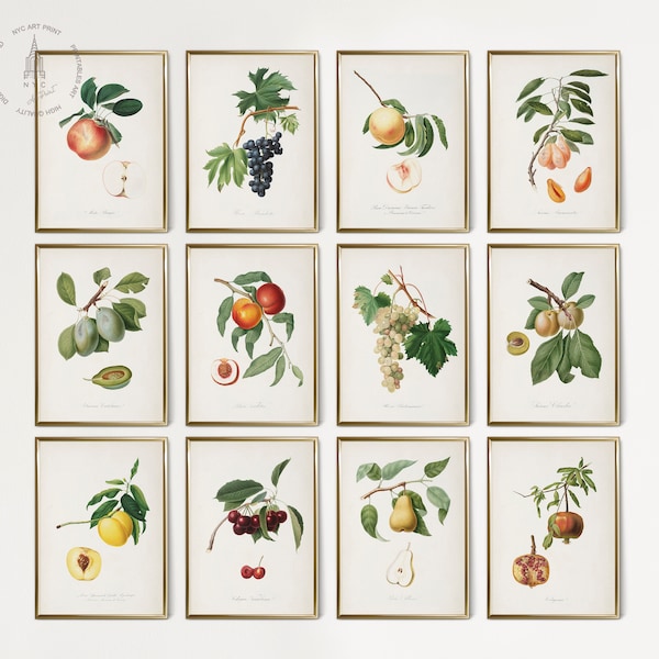 Vintage Fruit Print - Etsy