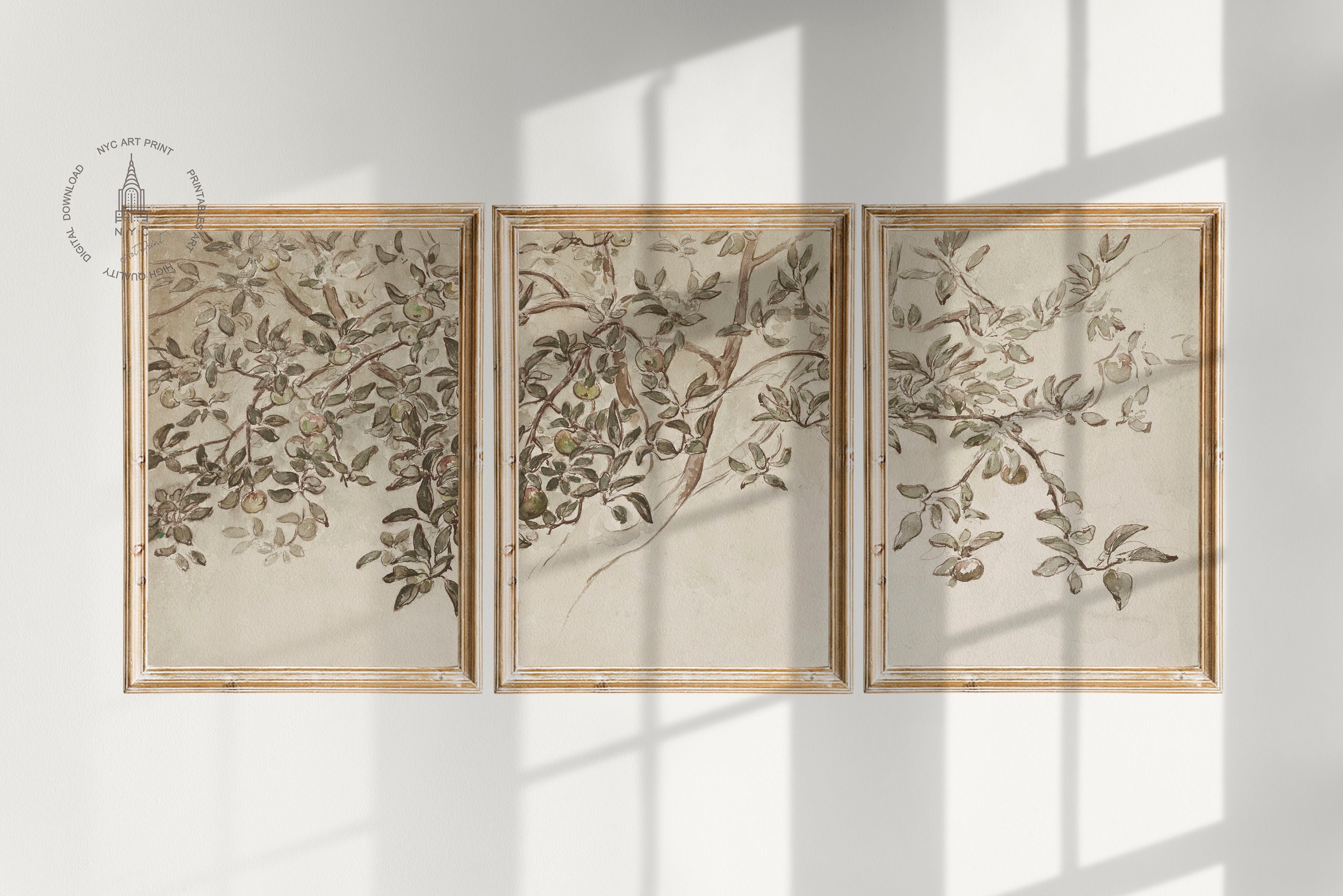 Vintage Spring Gallery Wall Set of 3, Apple Tree Sketch Art, Vintage ...
