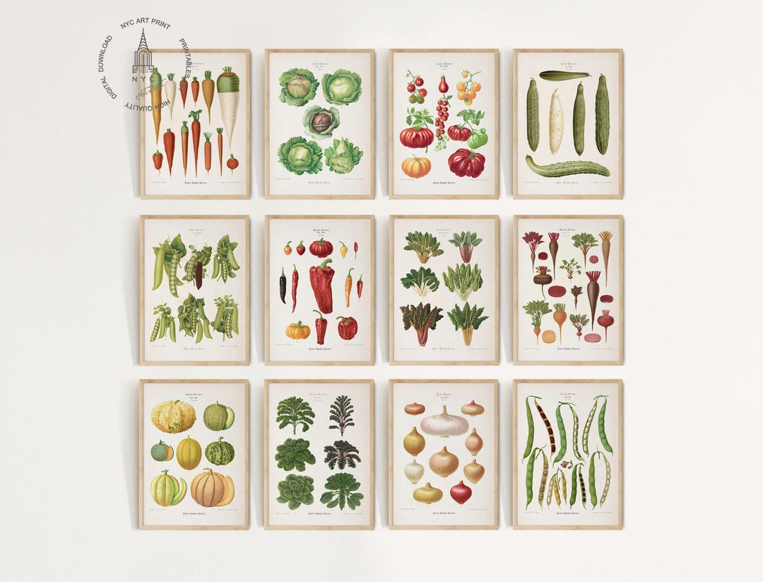 Vintage Vegetable Gallery Wall Set of 12, Vegetable Painting, Vegetable ...