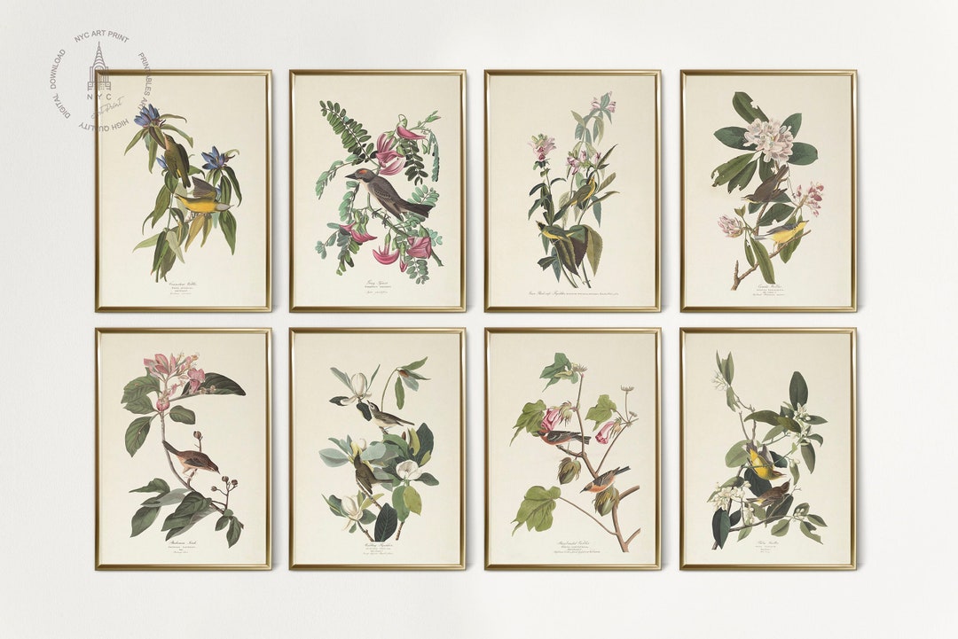 Set of 8 Vintage Birds Prints, Vintage Birds Painting, Botanical Prints ...