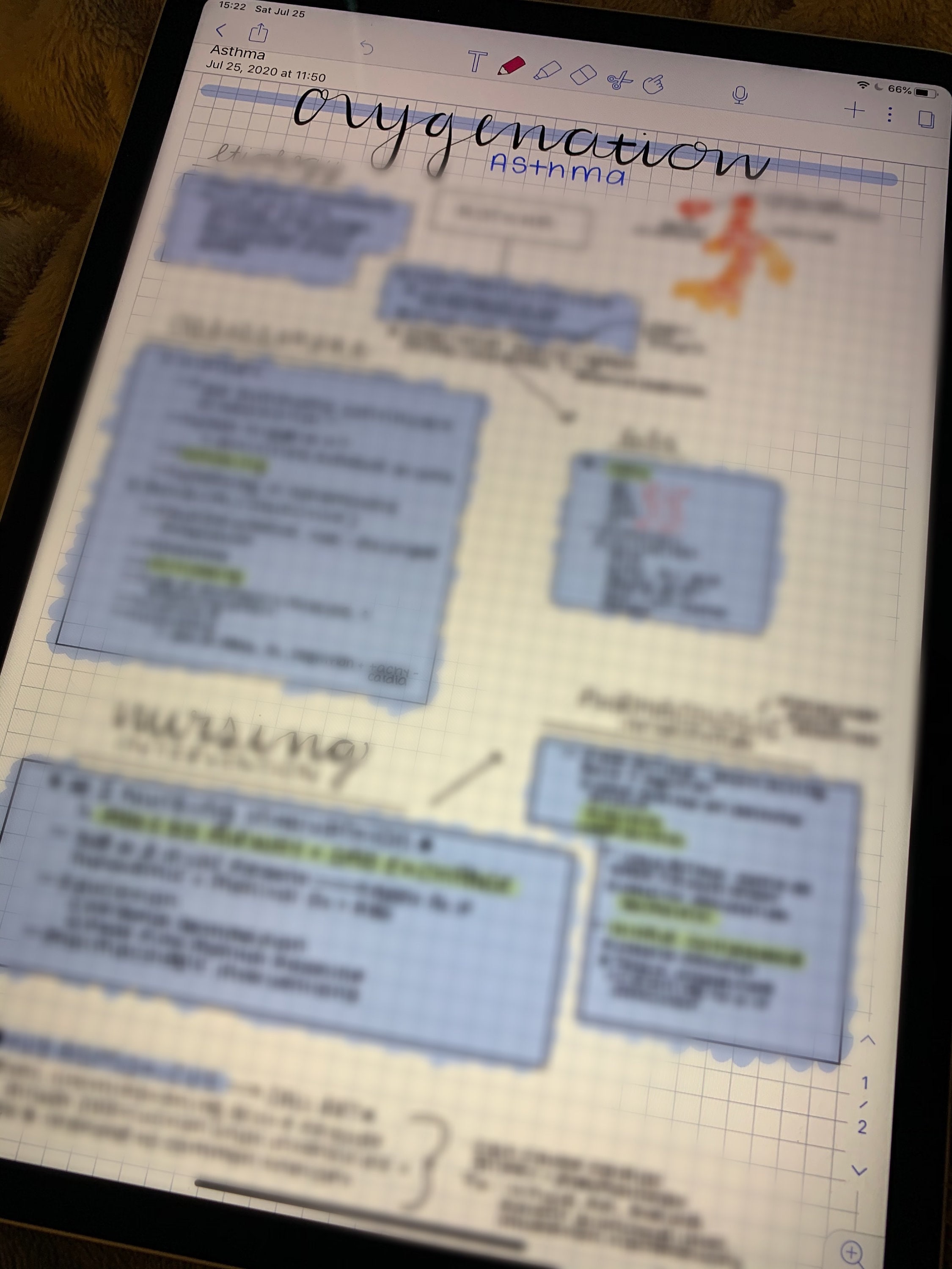 Asthma Concept Map For Nursing Etsy 