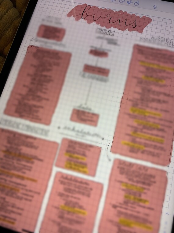 Burns Concept Map for Nursing - Etsy