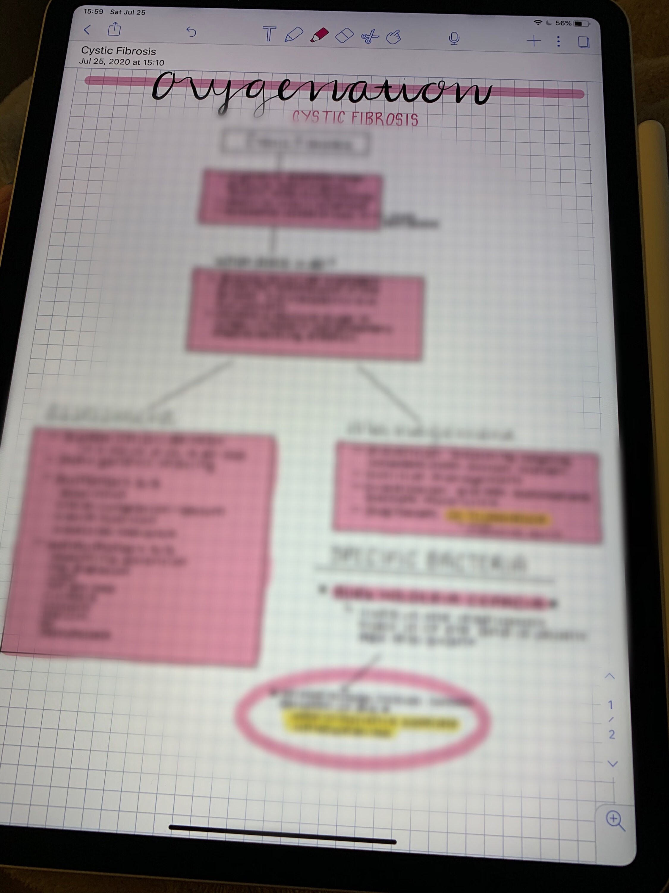 Cystic Fibrosis Concept Map for Nursing - Etsy