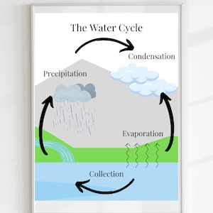 The Water Cycle Poster,educational Print, Printable Wall Art ...