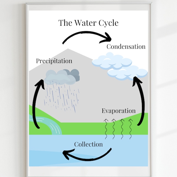 The Water Cycle Poster - Etsy