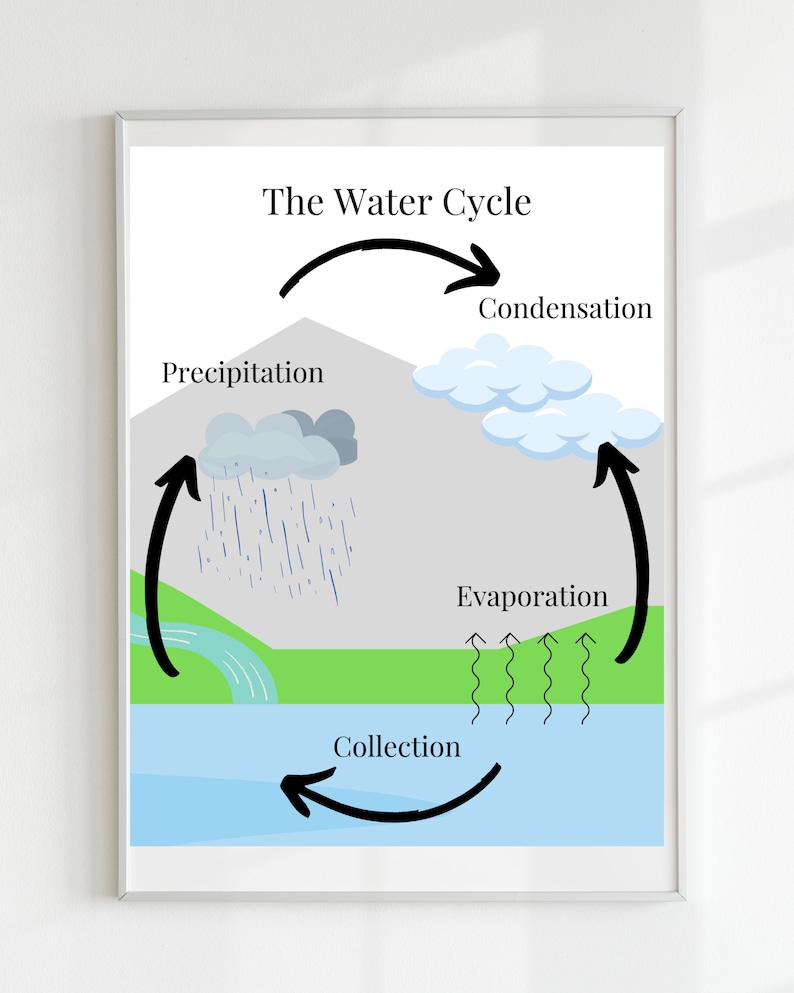 The Water Cycle Poster,educational Print, Printable Wall Art ...