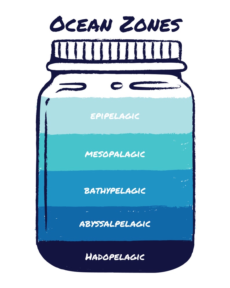 Ocean Zones Poster,educational Print, Printable Wall Art, Montessori ...