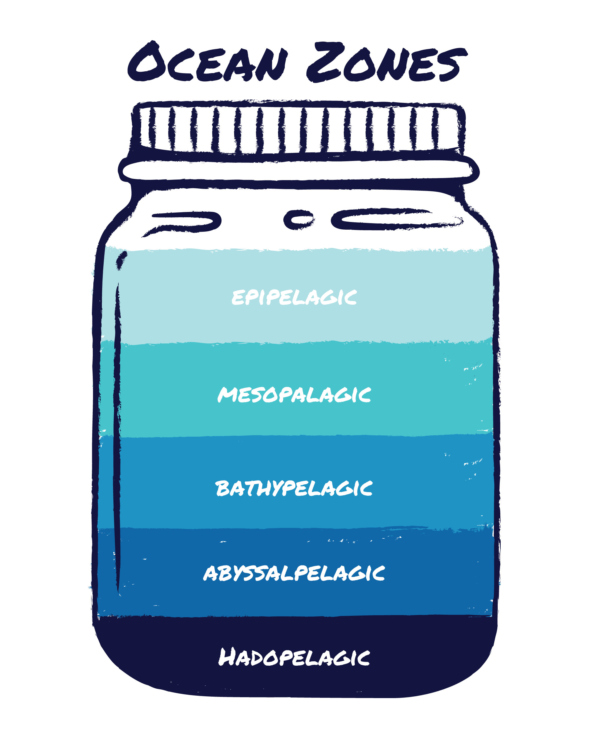 Ocean Zones Poster,educational Print, Printable Wall Art, Montessori ...