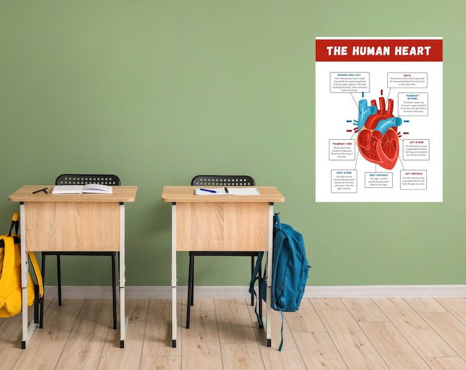 The Digestive System Poster, Anatomy Poster, Classroom Poster, Organs ...
