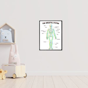 The Skeletal System Poster, Anatomy Poster, Educational Print ...