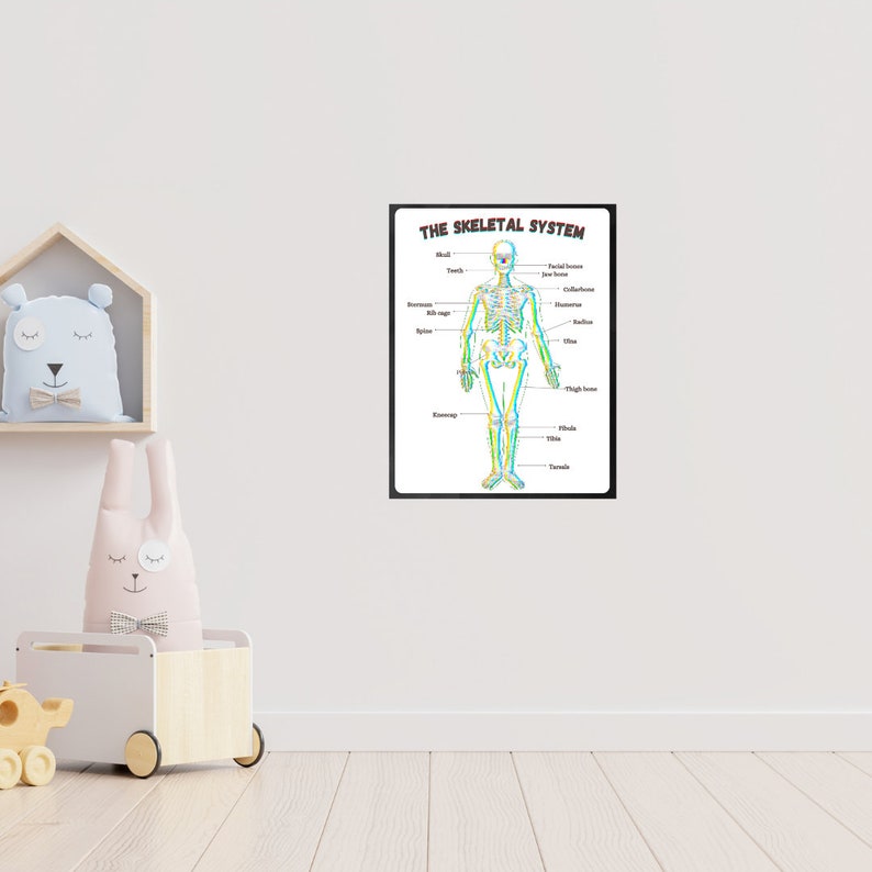The Skeletal System Poster, Anatomy Poster, Educational Print ...