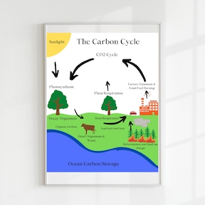 The Carbon Cycle Poster, Educational Print, Printable Wall Art ...