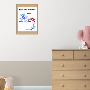 Neuron Poster,educational Print, Printable Wall Art, Montessori ...