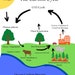 The Carbon Cycle Poster, Educational Print, Printable Wall Art ...