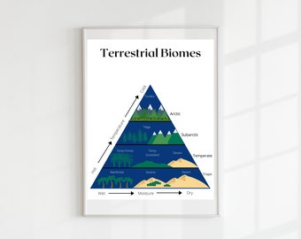 The Water Cycle Poster,educational Print, Printable Wall Art ...