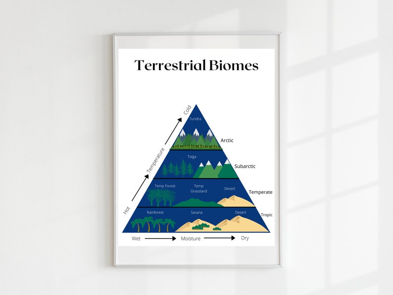 Terrestrial Biomes Poster,educational Print, Printable Wall Art ...