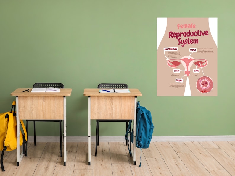 The Reproductive System Poster, Female Reproduction, Anatomy Poster ...