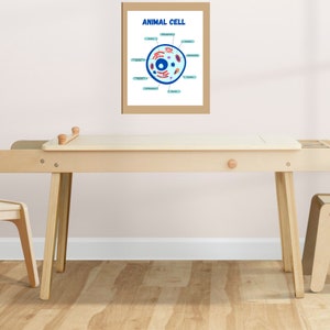 Animal Cell Poster,educational Print, Printable Wall Art, Montessori ...