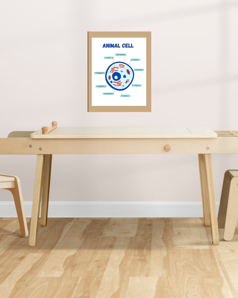 Animal Cell Poster,educational Print, Printable Wall Art, Montessori ...