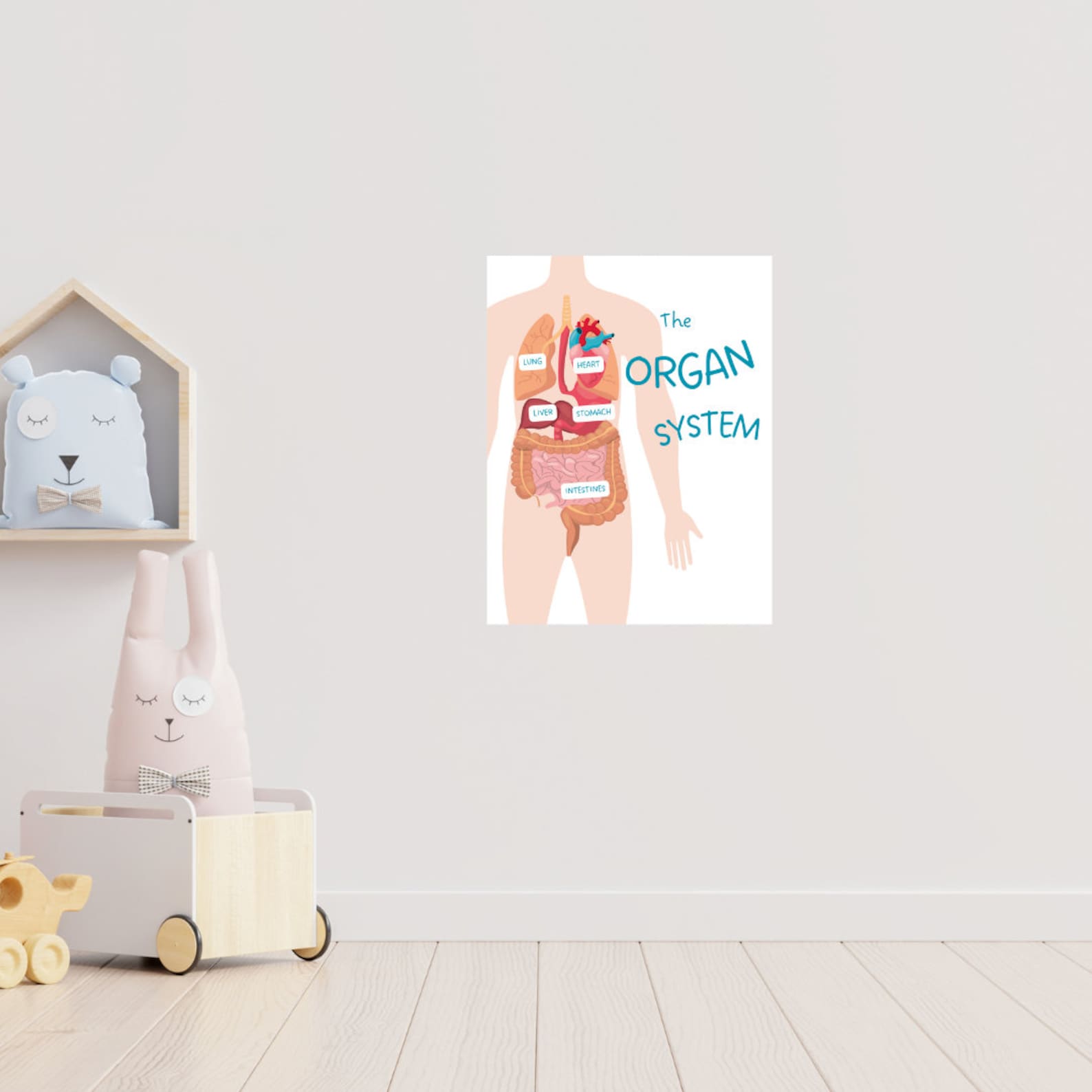 The Organ System Poster, Anatomy Poster, Classroom Poster, Organs of ...