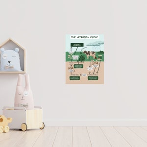 The Nitrogen Cycle Poster, Nitrogen Poster, Chemistry Poster ...