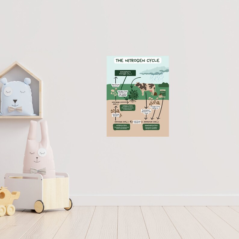 The Nitrogen Cycle Poster, Nitrogen Poster, Chemistry Poster ...