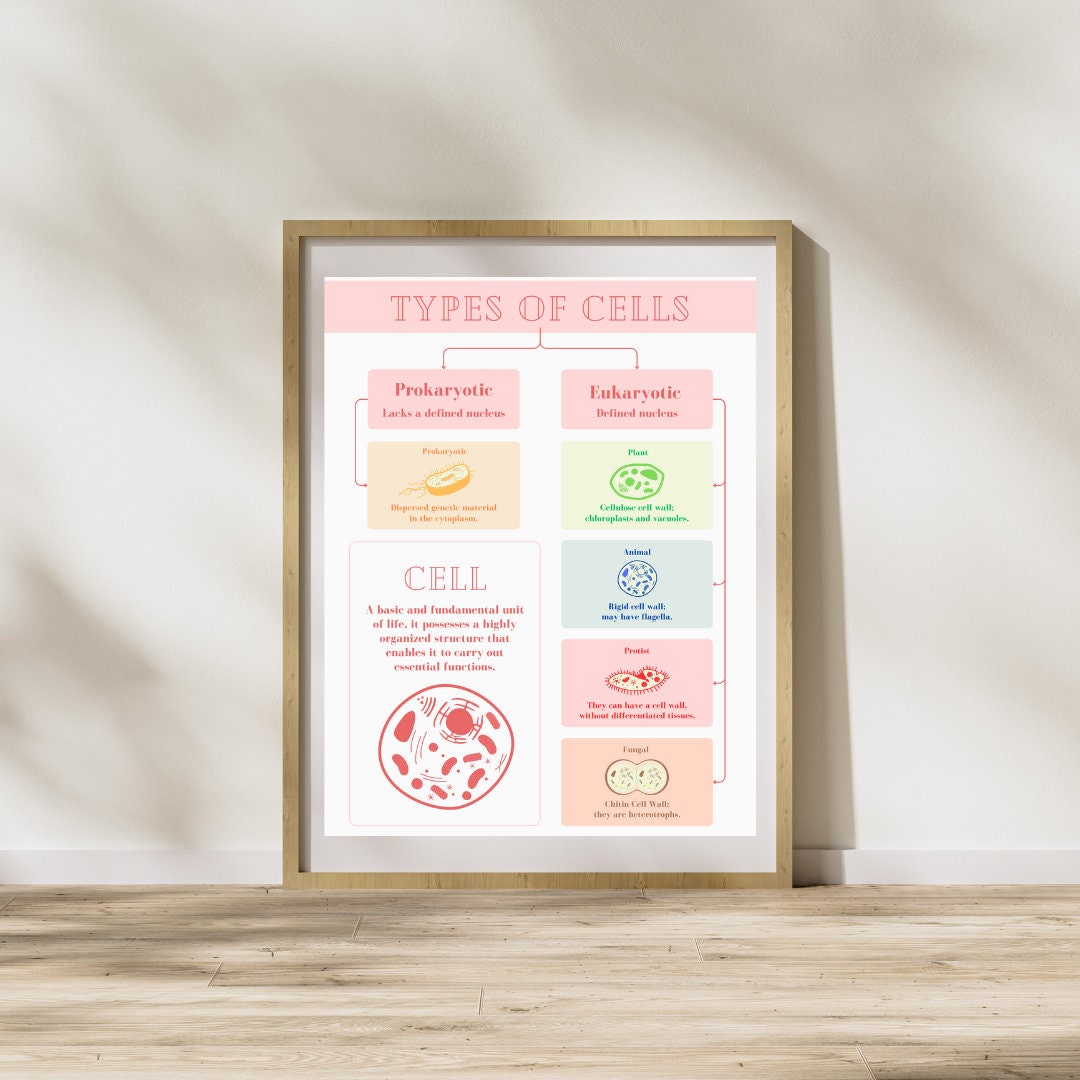 Cell Types Poster, Biology Poster, Educational Print, Montessori ...