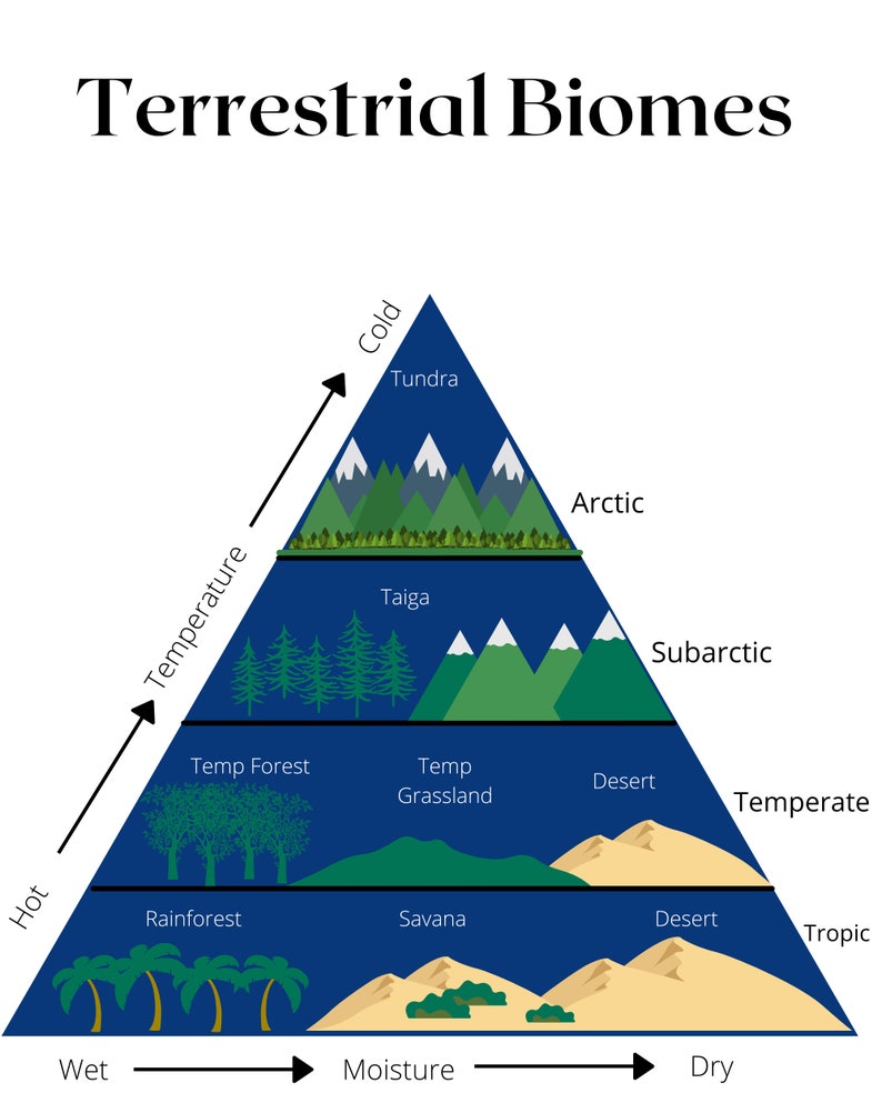 Terrestrial Biomes Poster,educational Print, Printable Wall Art ...