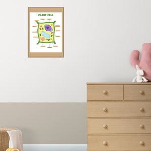 Plant Cell Poster,educational Print, Printable Wall Art, Montessori ...
