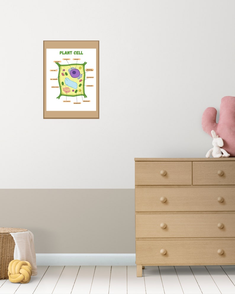 Plant Cell Poster,educational Print, Printable Wall Art, Montessori ...