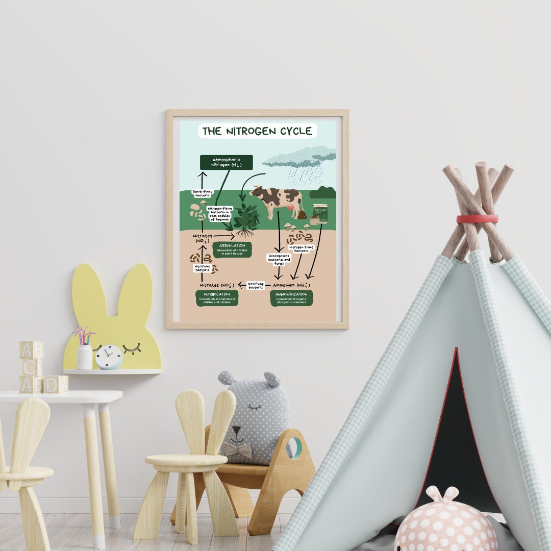 The Nitrogen Cycle Poster, Nitrogen Poster, Chemistry Poster ...