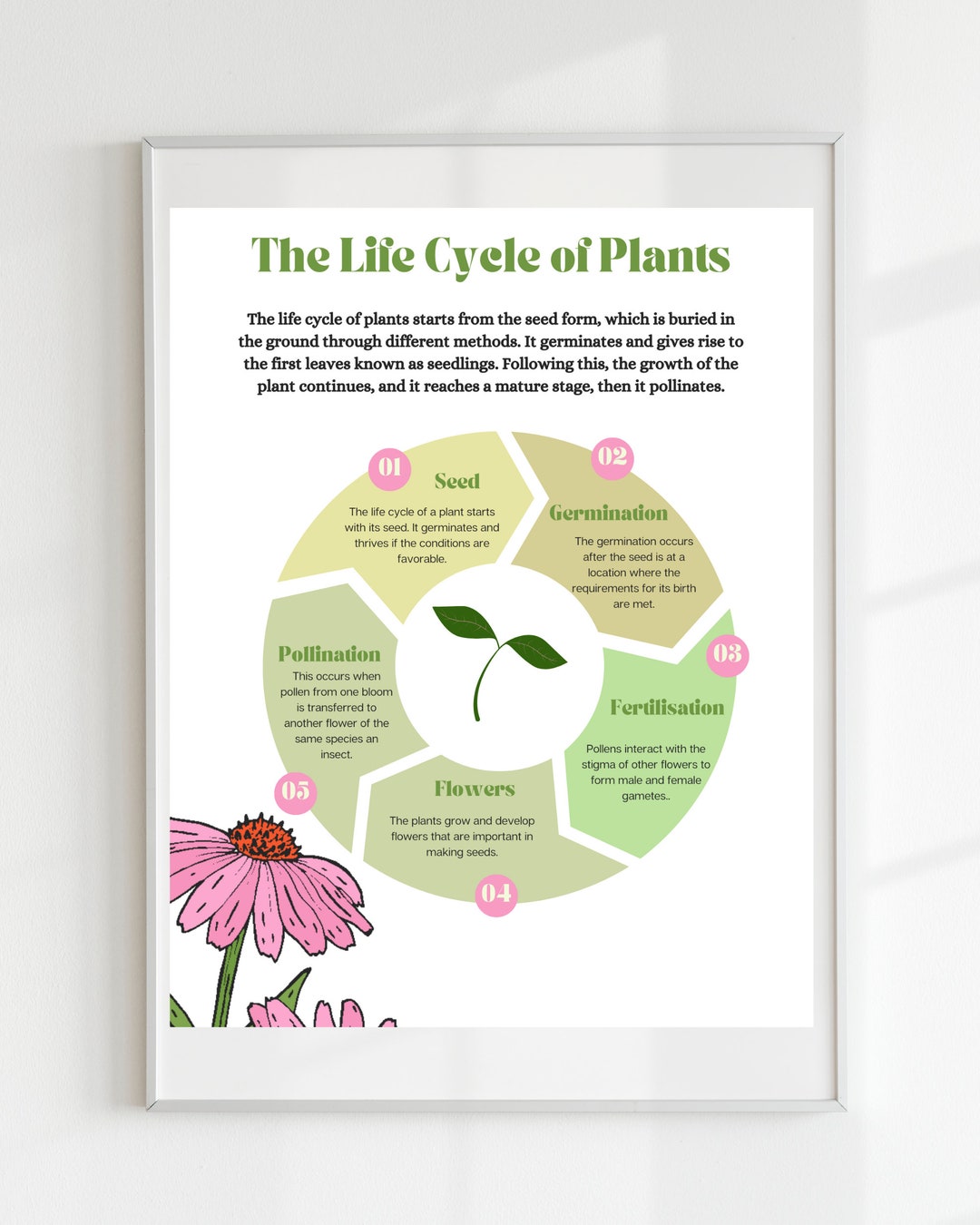 Plant Life Cycle Poster,educational Print, Biology Posterprintable Wall ...