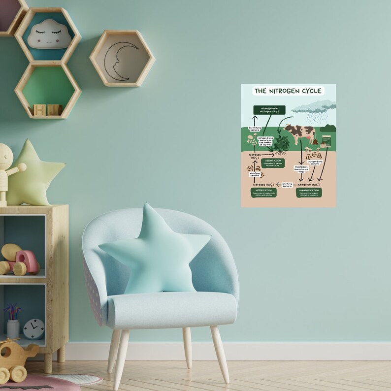 The Nitrogen Cycle Poster, Nitrogen Poster, Chemistry Poster ...