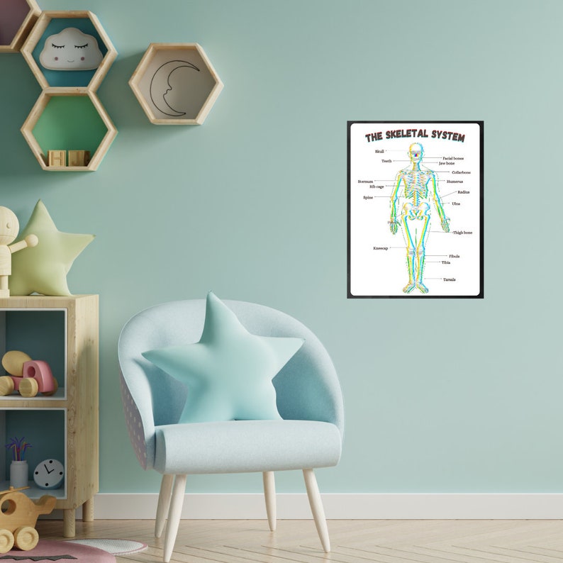 The Skeletal System Poster, Anatomy Poster, Educational Print ...