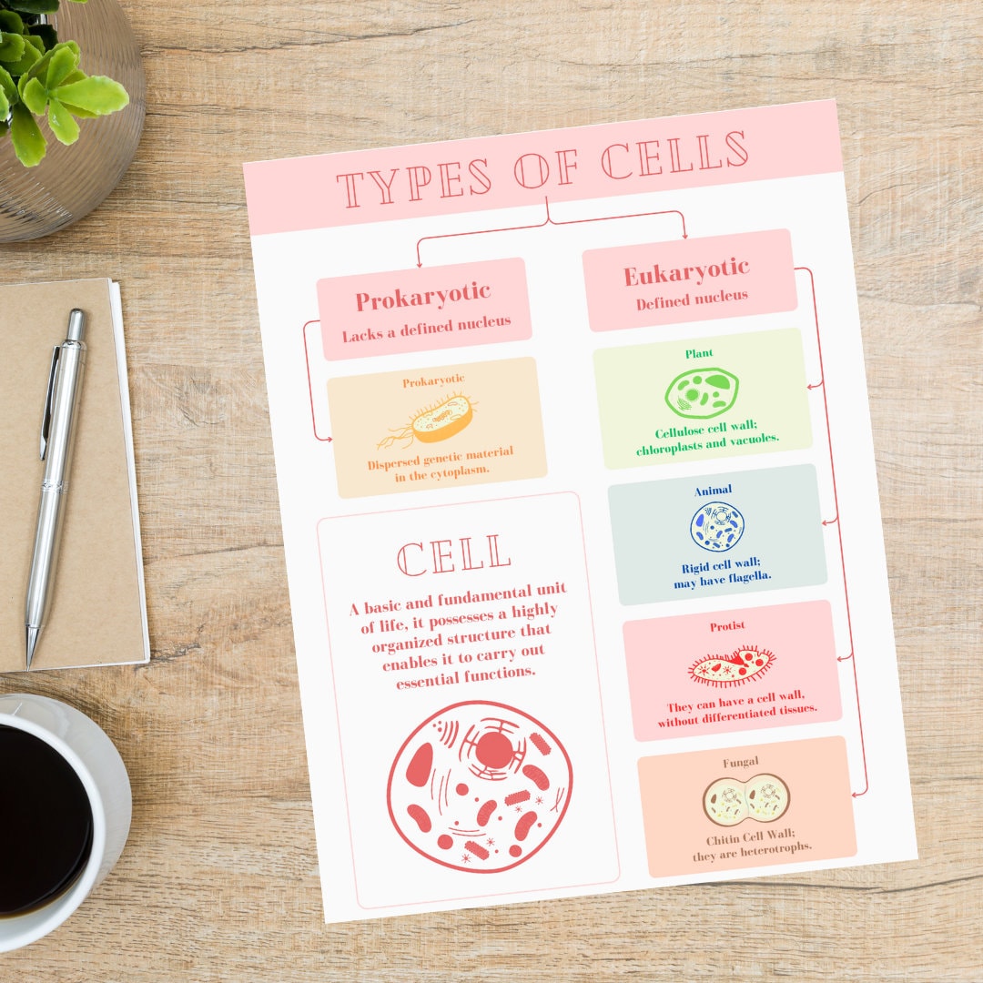 Cell Types Poster, Biology Poster, Educational Print, Montessori ...