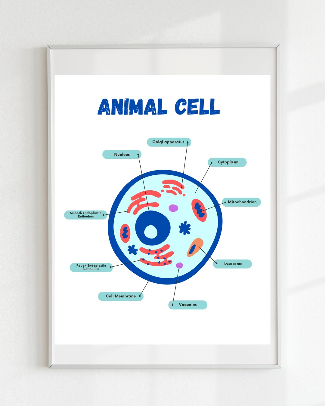 Animal Cell Poster,educational Print, Printable Wall Art, Montessori ...