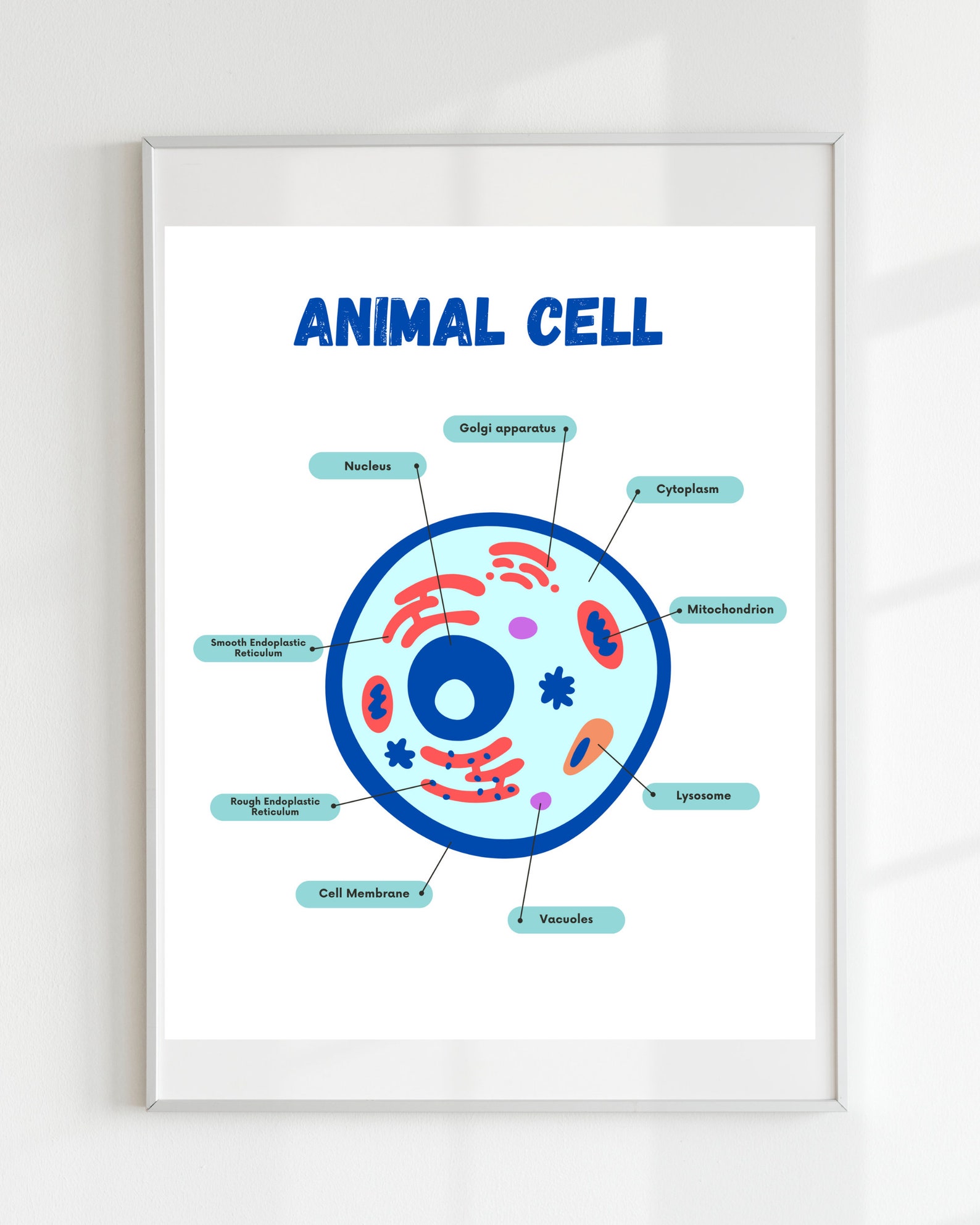 Animal Cell Poster,educational Print, Printable Wall Art, Montessori ...