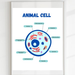 Animal Cell Poster,educational Print, Printable Wall Art, Montessori ...