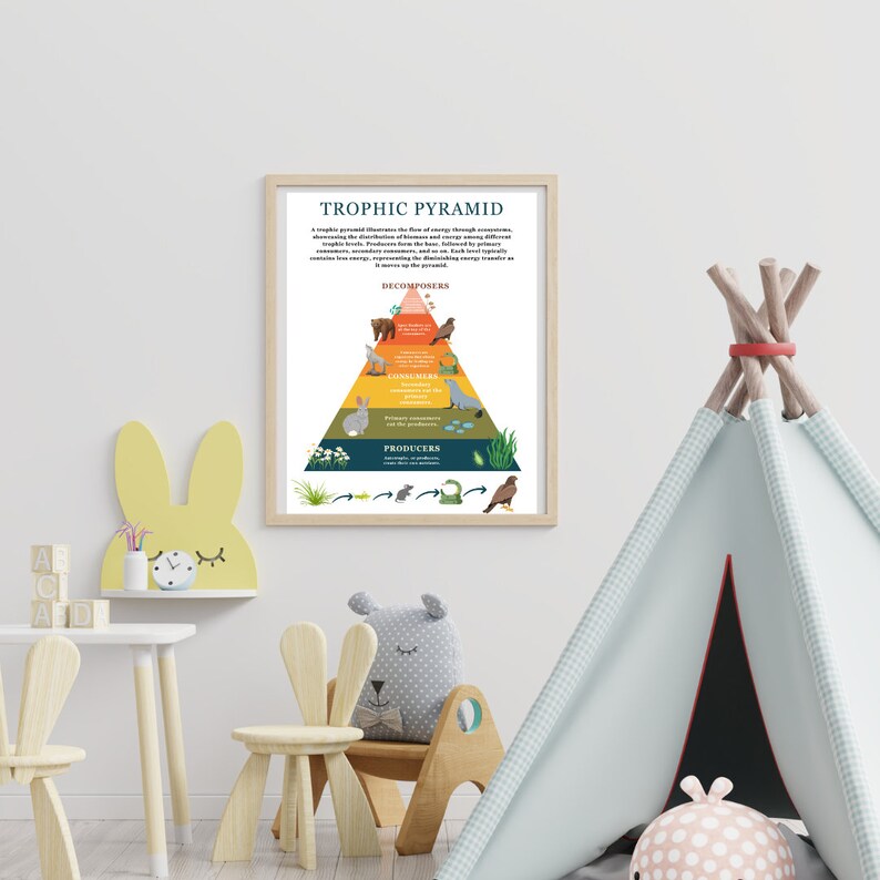 Trophic Pyramid Poster, Food Web Poster, Educational Print, Montessori ...