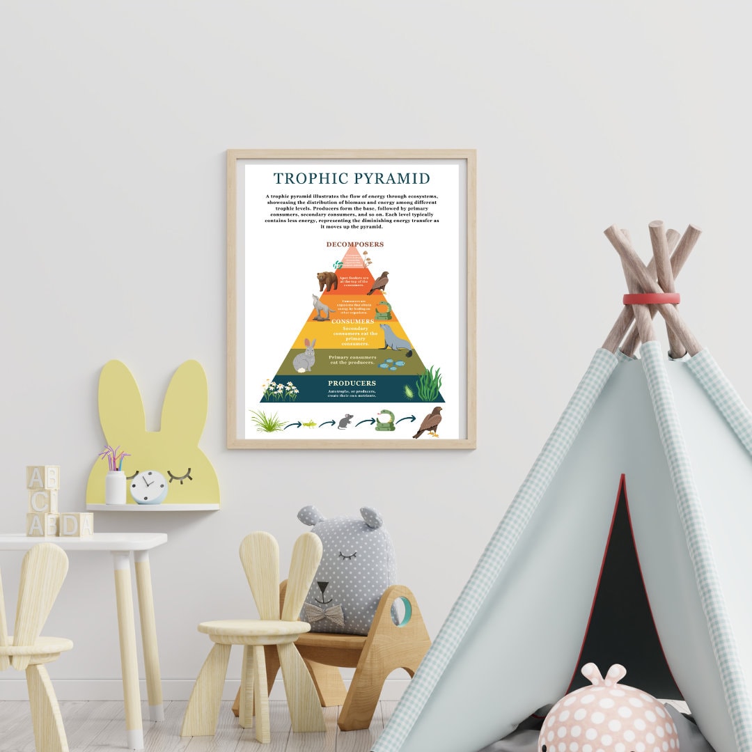 Trophic Pyramid Poster, Food Web Poster, Educational Print, Montessori ...