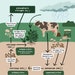 The Nitrogen Cycle Poster, Nitrogen Poster, Chemistry Poster ...