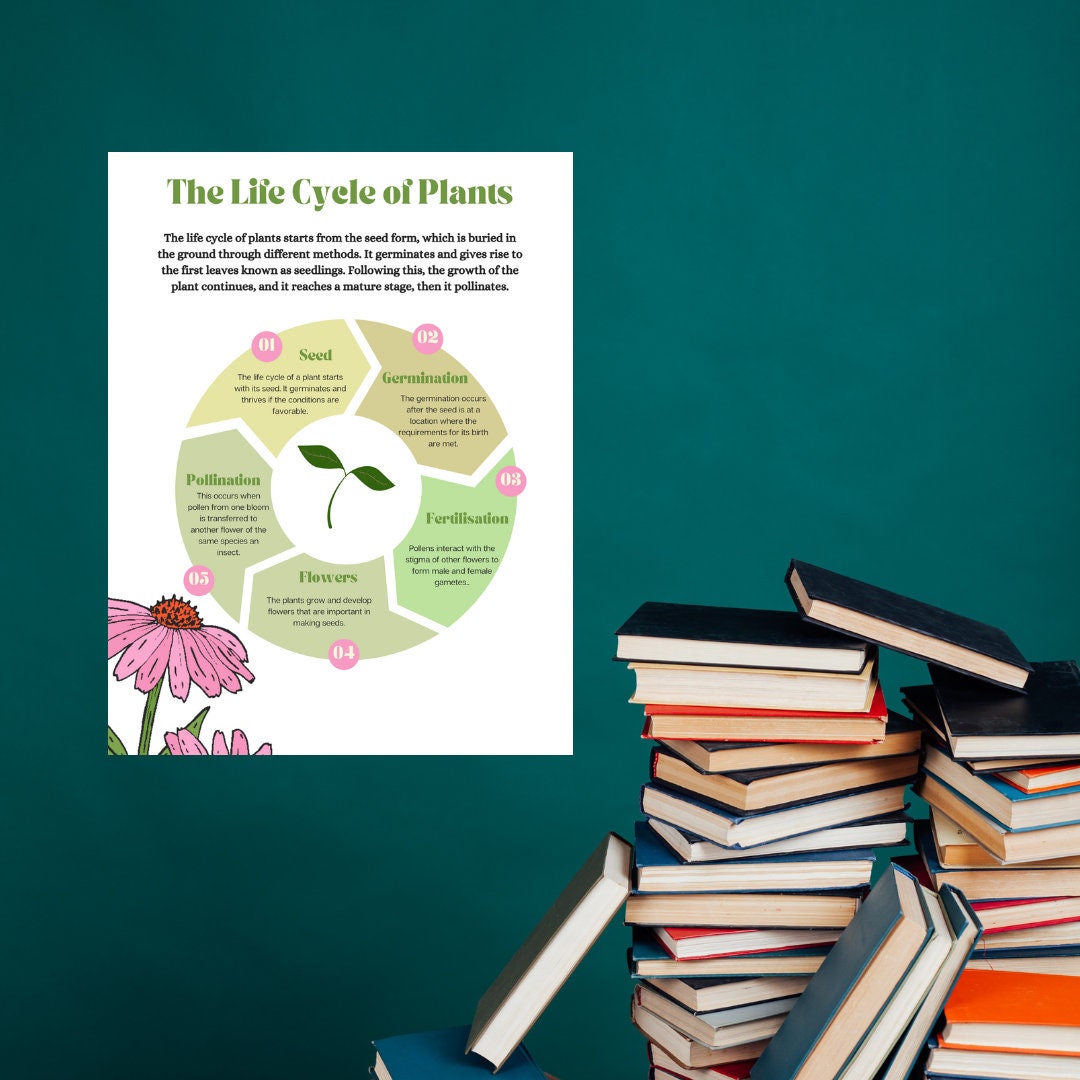 Plant Life Cycle Poster,educational Print, Biology Posterprintable Wall ...