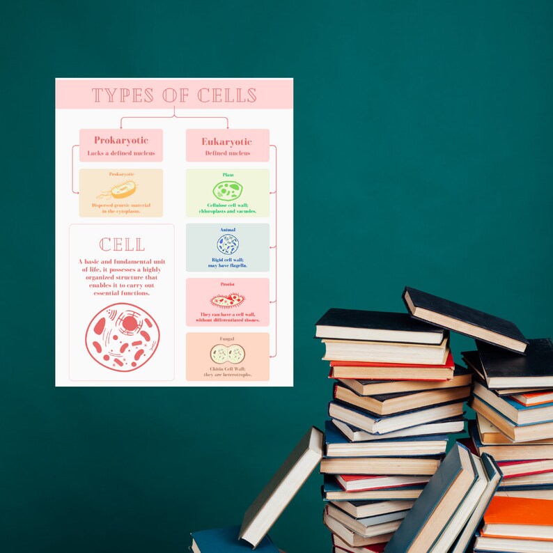 Cell Types Poster, Biology Poster, Educational Print, Montessori ...
