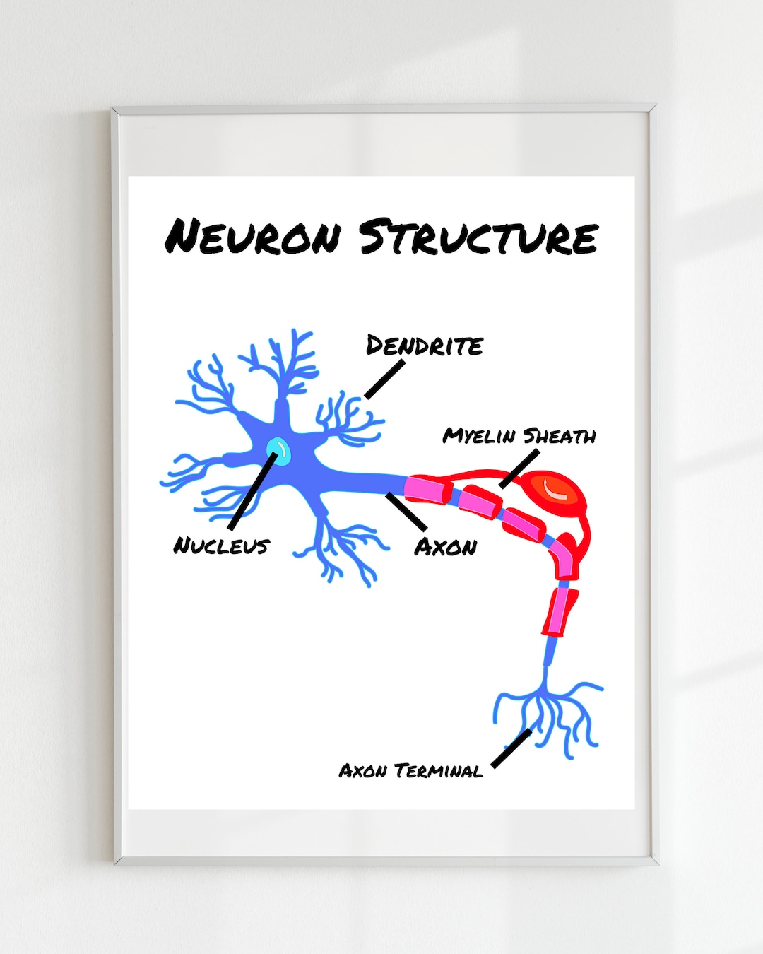 Neuron Poster,educational Print, Printable Wall Art, Montessori ...