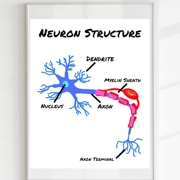 Neuron Poster - Etsy