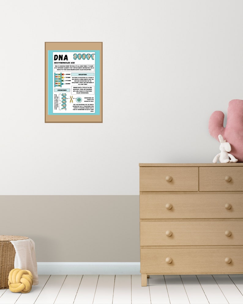 DNA Biology Poster, Education Print, Classroom Art Poster, DIGITAL ...