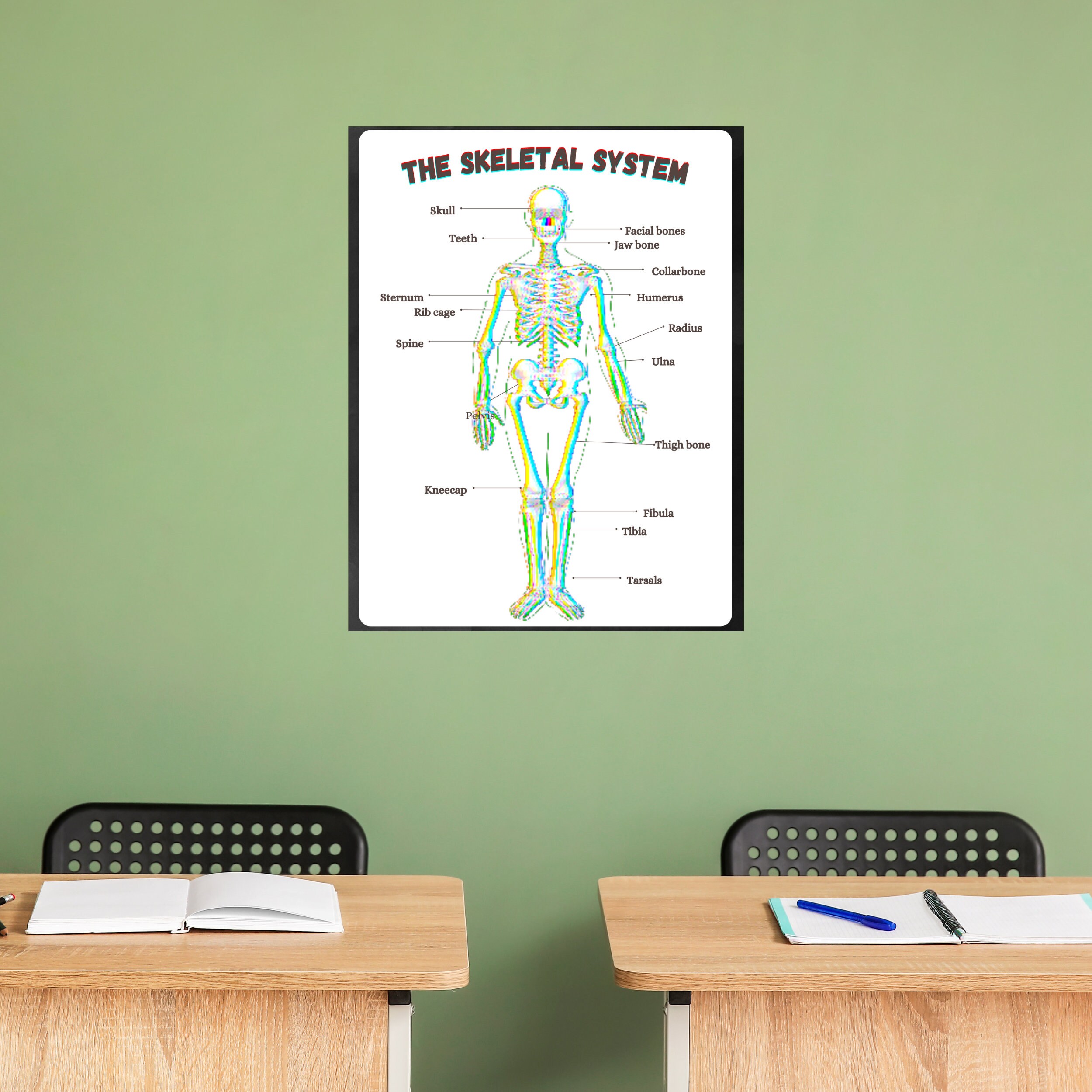 The Skeletal System Poster, Anatomy Poster, Educational Print, Classroom Poster, Anatomy Print ...